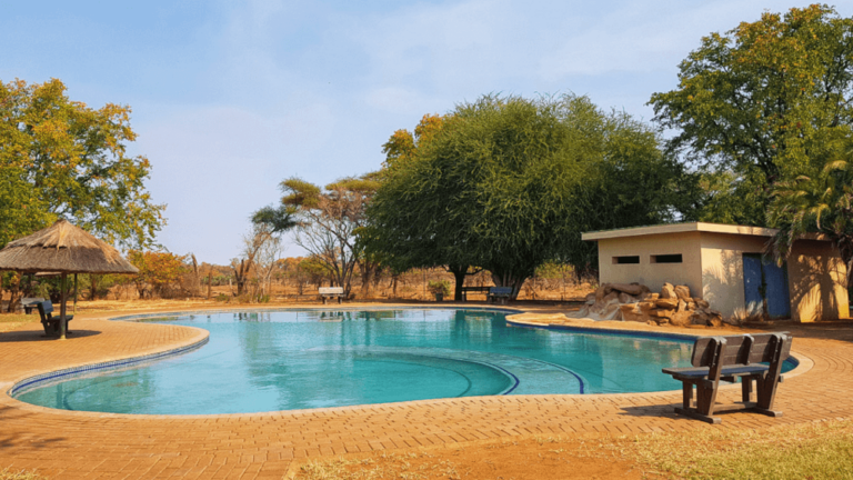 An Overview of Talamati Bushveld Camp in the Kruger National Park ...