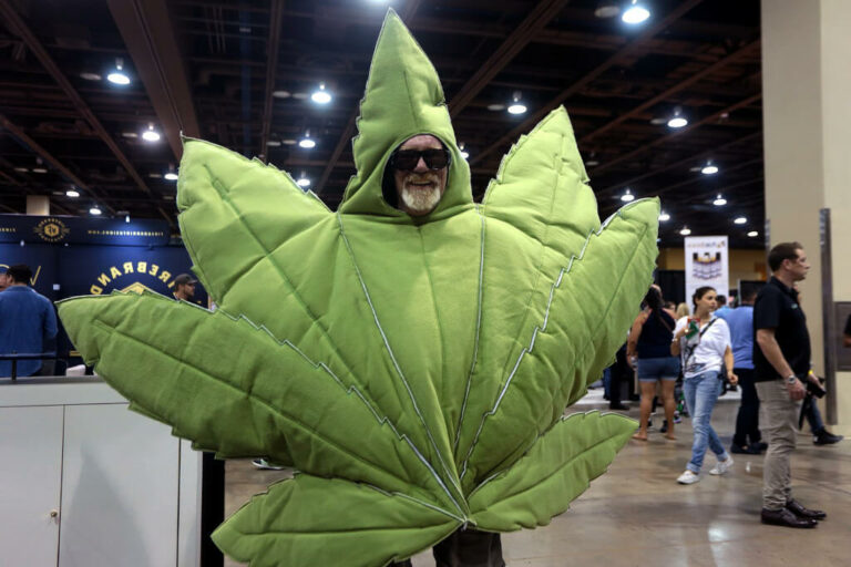 Durban’s Cannabis Expo: Ultimate High in Innovation and Entertainment ...