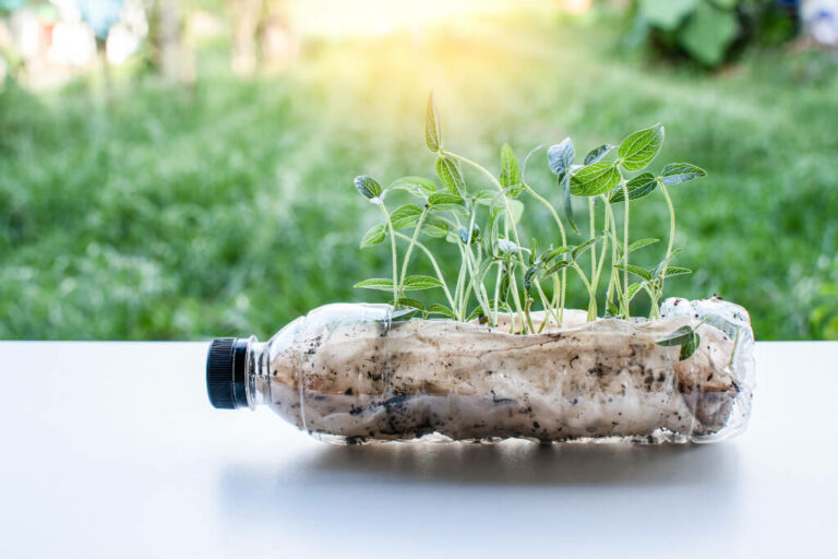 Trash to Gold: The EcoPost Revolution – Africa Nova News